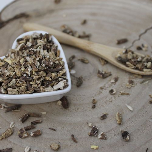 Archangelika lekárska - koreň narezaný - Archangelica officinalis ...