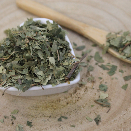 Bříza bělokorá - list celý - Betula pendula - Folium betulae | Biorůže