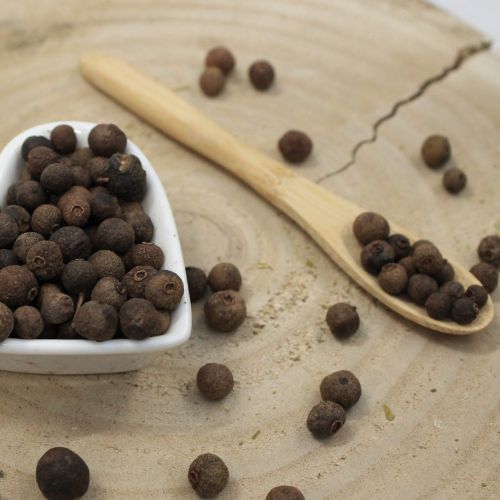 Allspice tree, allspice – whole fruit – Pimenta officinalis – Semen ...