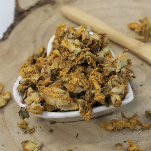 Divozel veľkokvetý - kvet - Verbascum thapsus - Flos verbasci | www ...