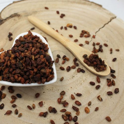 Rakytník řešetlákový - plod celý - Hippophae rhamnoides - Fructus ...