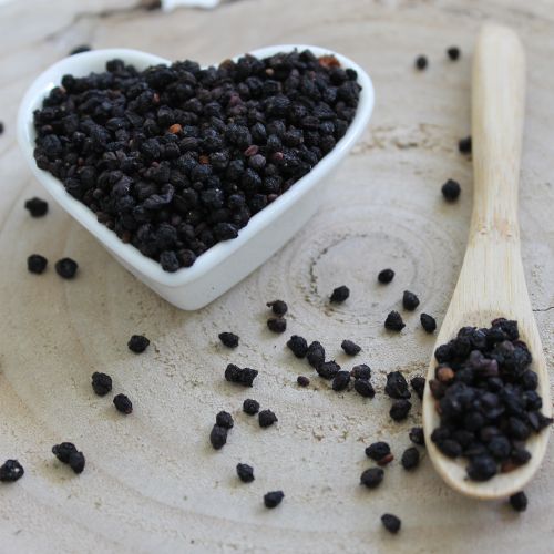 Bez černý - plod - Sambucus nigra - Fructus sambuci | www.bioruze.cz