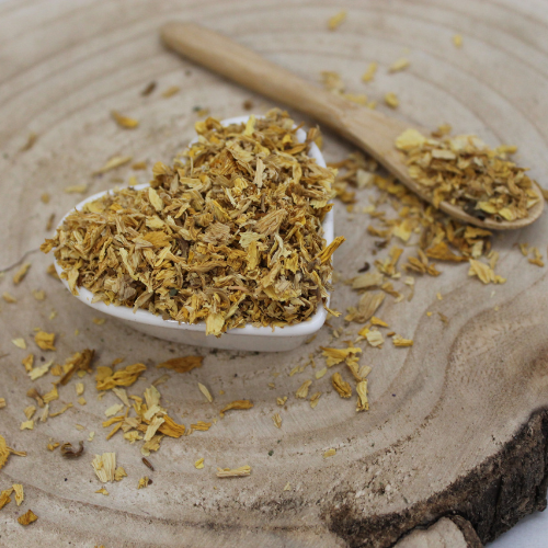 Slnečnica ročná - kvet rezaný - Helianthus annus | www.bioruza.sk