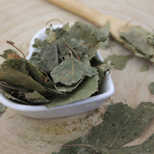 Bříza bělokorá - list celý - Betula pendula - Folium betulae | Biorůže